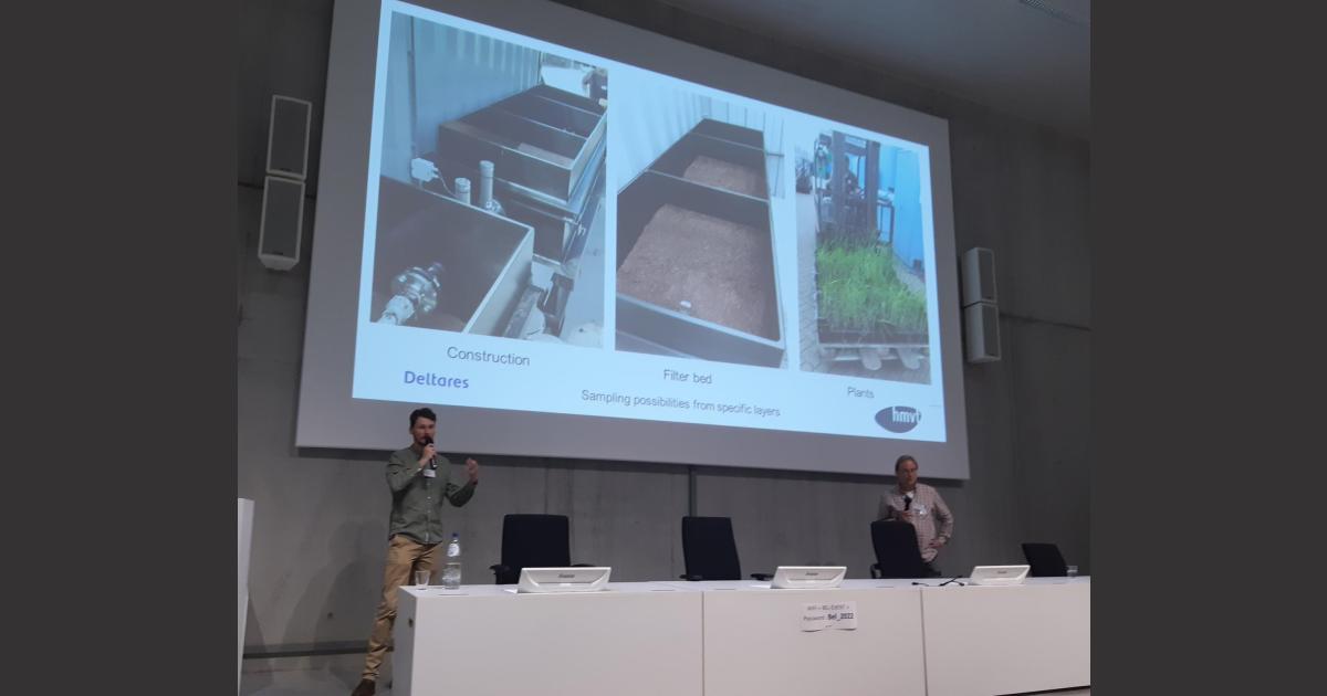 Goedkoop water uit een stortplaats zuiveren…. met planten? | HMVT